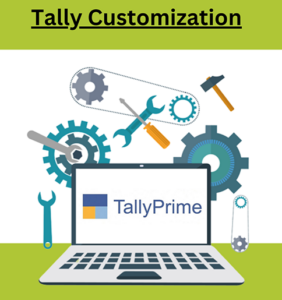 Tally – Customization – Tally Pro Business Solution
